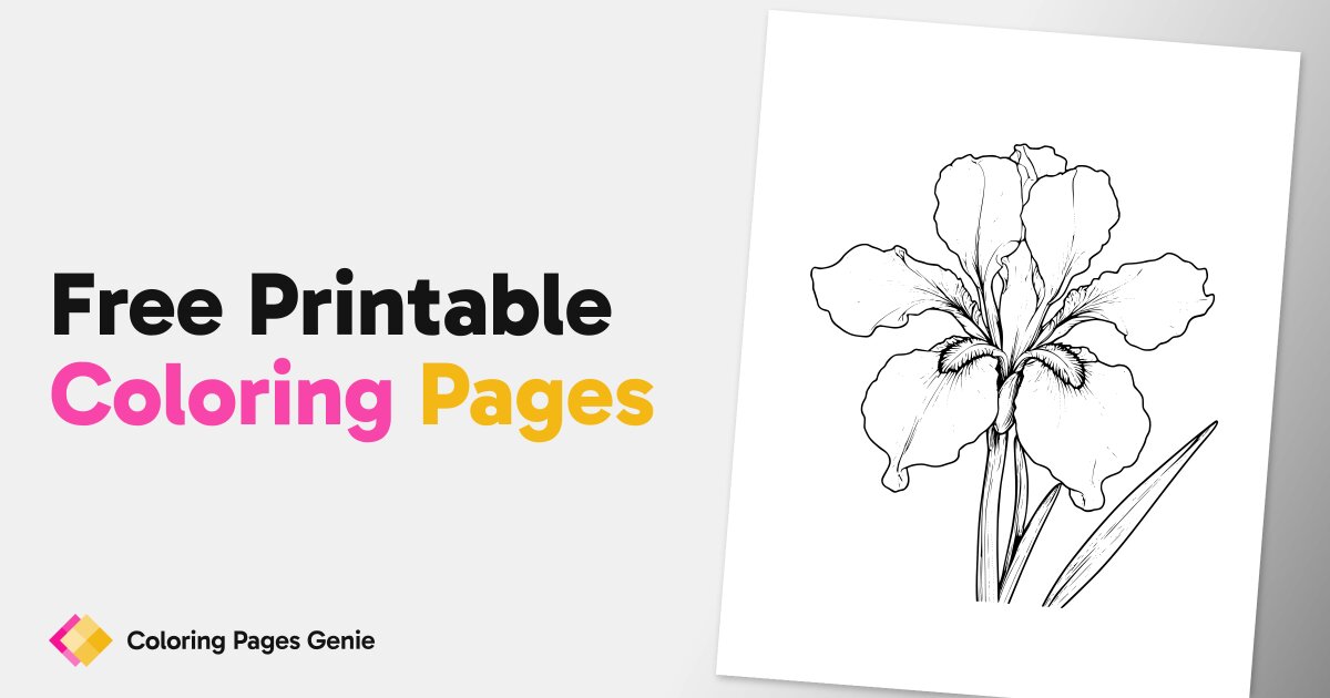 Detailed Iris Flower Coloring Page for Adults