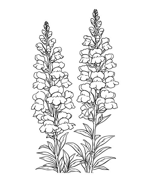 Flower Coloring Pages - Beautiful Floral Designs & Garden Blooms