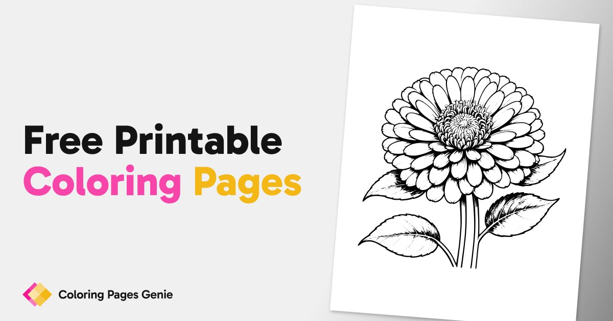 Zinnia Blossom Closeup Coloring Page Printable