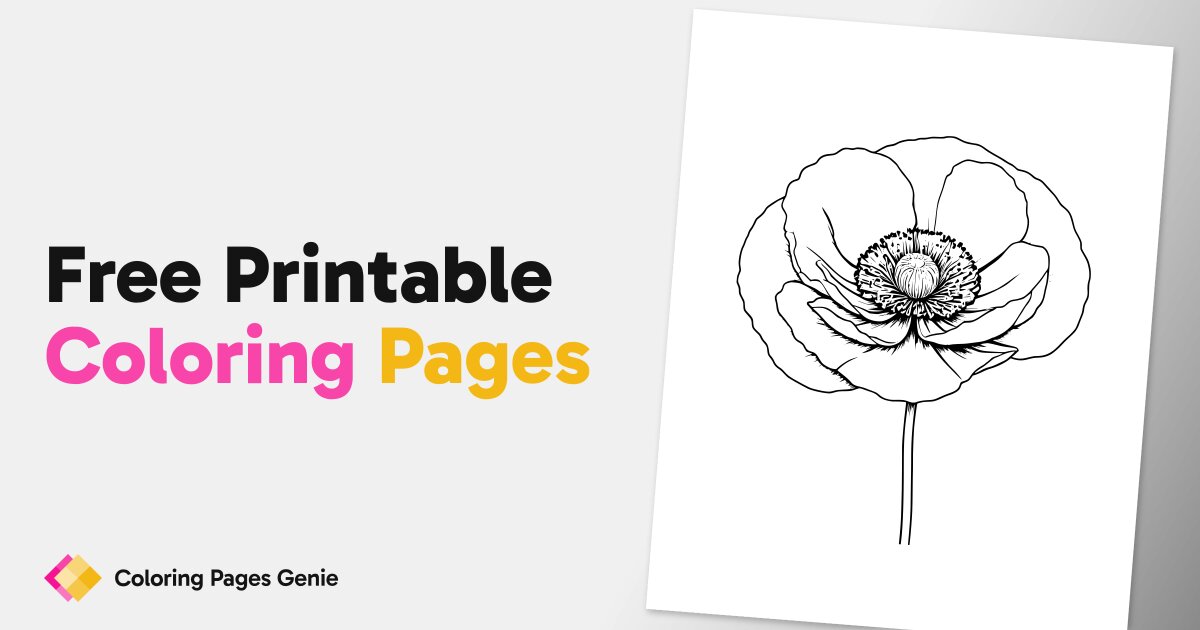 Poppy Flower Coloring Page – Free Printable for Relaxation