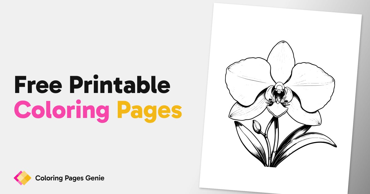 Elegant Orchid Blossom Coloring Page for Relaxation